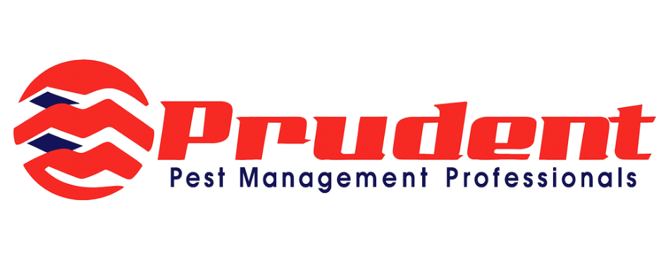 Best Pest Management Professionals in Hyderabad PrudentPMP